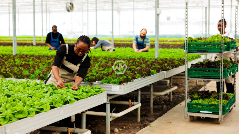 Luke Patented New Vertical Farming Solution | WorldMagzine