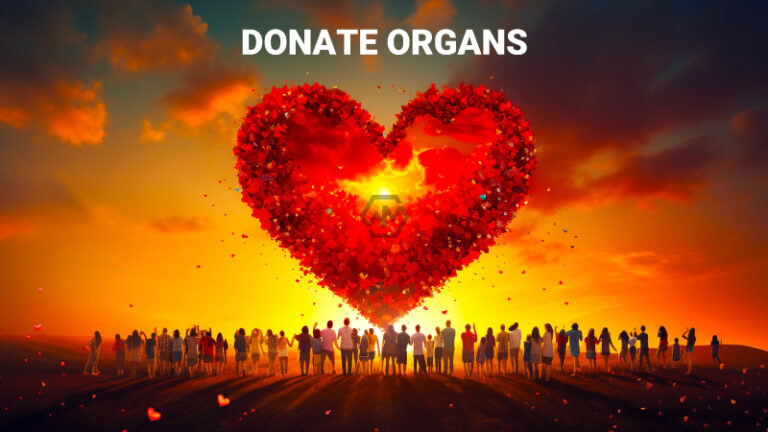 1,650 employees of the UAE Company have pledged to donate organs ...